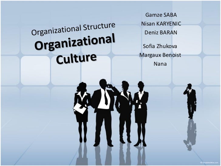 Organizational Structure and Culture