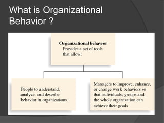 Organizational behavior its nature and importance | PPTX