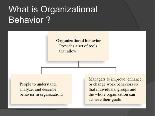 Organizational behavior its nature and importance | PPTX