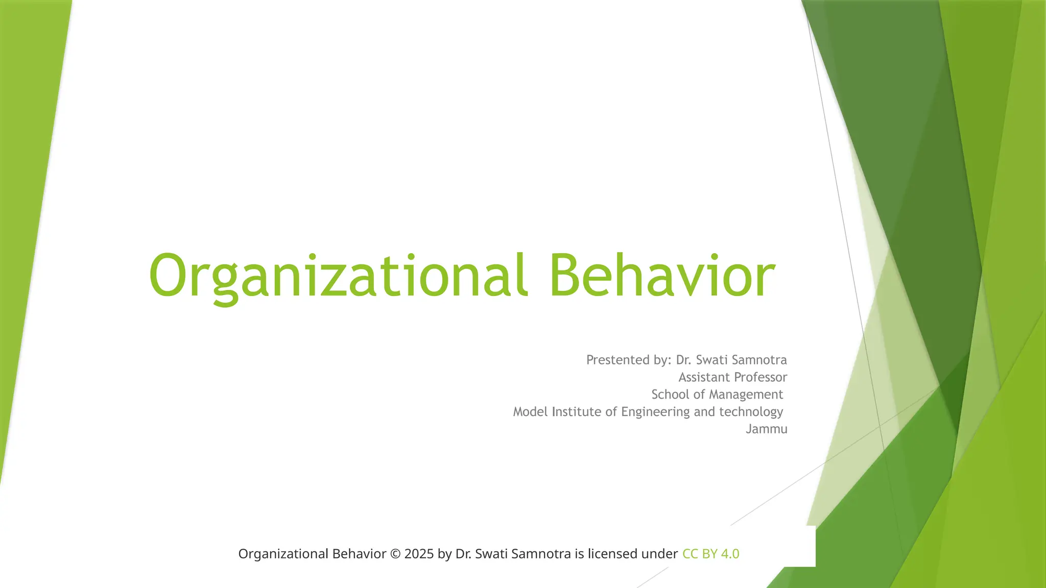 Organizational Behavior Presentation.pptx