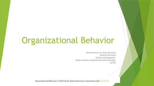 Organizational Behavior Presentation.pptx