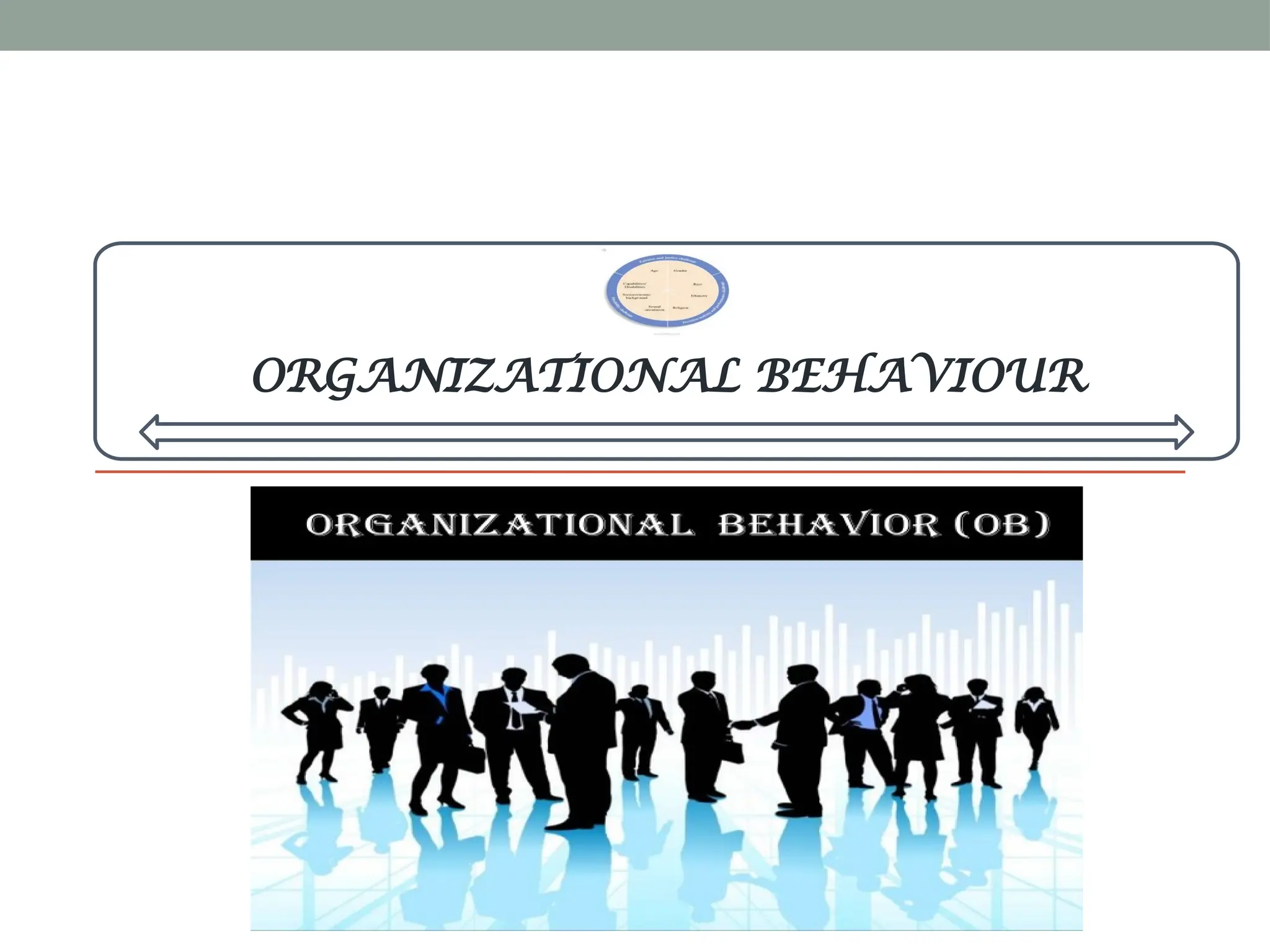 ORGANIZATIONAL BEHAVIOUR (VISWA B.com).pptx