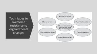 Organizational Changes presentation.pptx