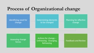 Organizational Changes presentation.pptx