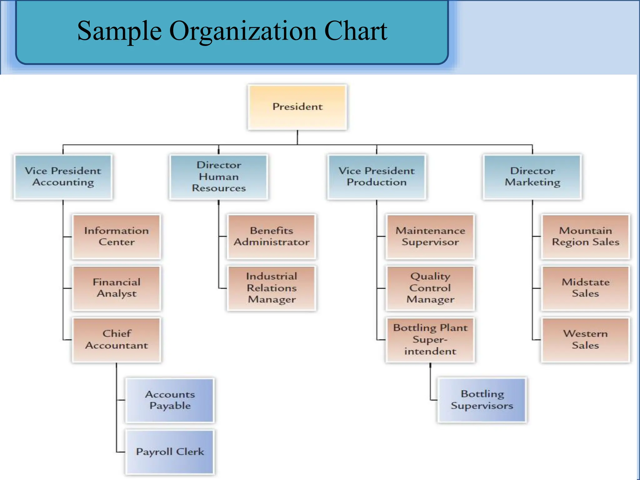 Organizational Chart and Designing Adaptive | PPT