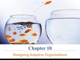 Organizational Chart and Designing Adaptive | PPT