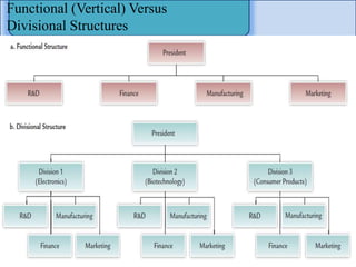 Organizational Chart and Designing Adaptive | PPT