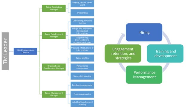 Talent management Organizational Chart_A De Leon.pptx