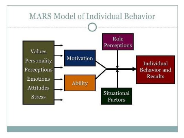 Organizational Citizenship Behavior (ocb)