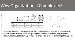 Organizational Complexity Alfonso Cornejo | PDF