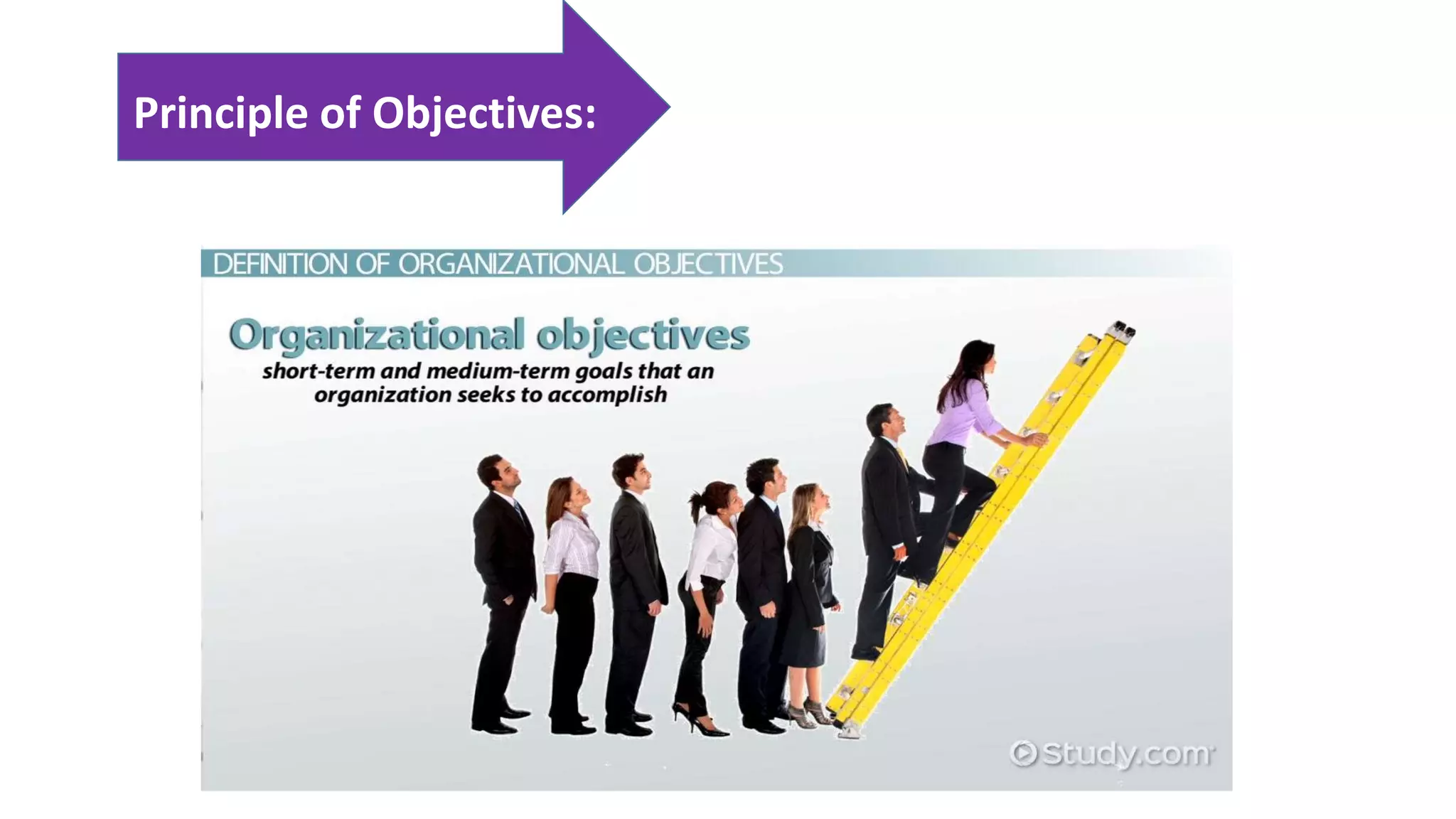 ORGANIZATION CONCEPT AND PRINCIPLES OF ORGANIZATION | PPTX