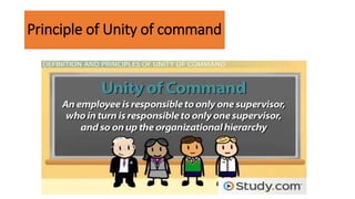 ORGANIZATION CONCEPT AND PRINCIPLES OF ORGANIZATION | PPTX | Business ...