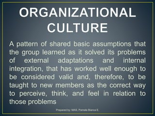 Introduction to Organizational Culture | PPSX