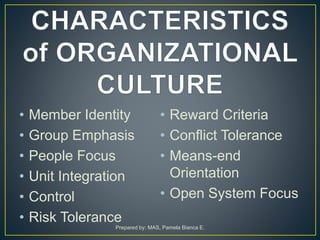 Introduction to Organizational Culture | PPSX