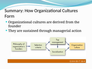 Organizational Culture Shared value.pptx