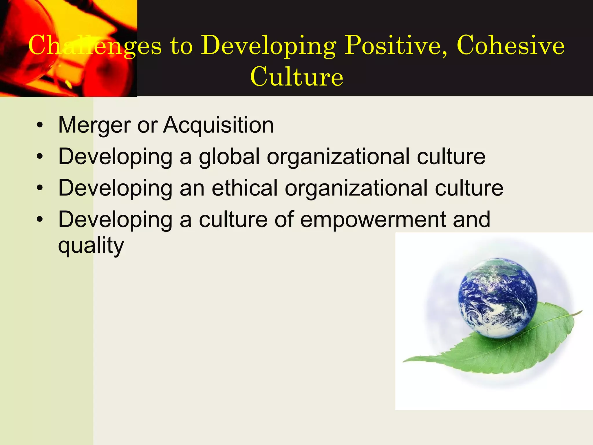Organizational culture presentation | PPT