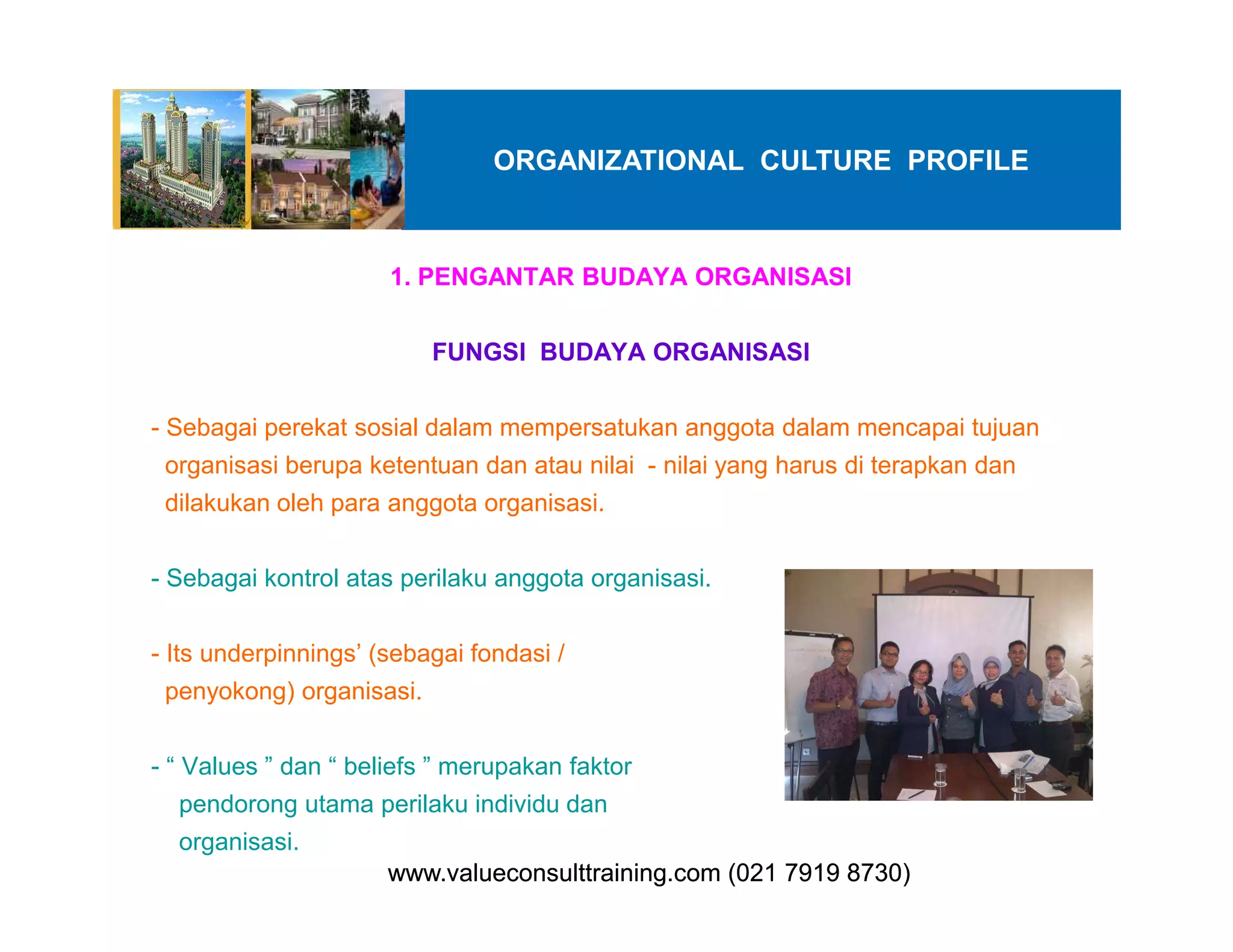 Organizational culture profile | PDF