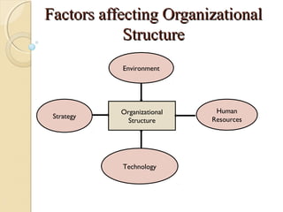 Organizational design and structure | PPT