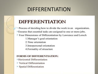 Organizational design structure ppt | PPT