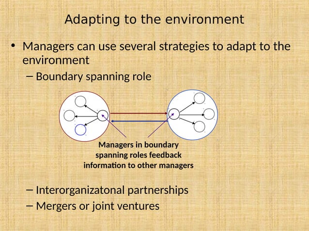 organizational_environment external.ppt.pdf