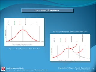 Organizational life cycle finalize (1) | PPT