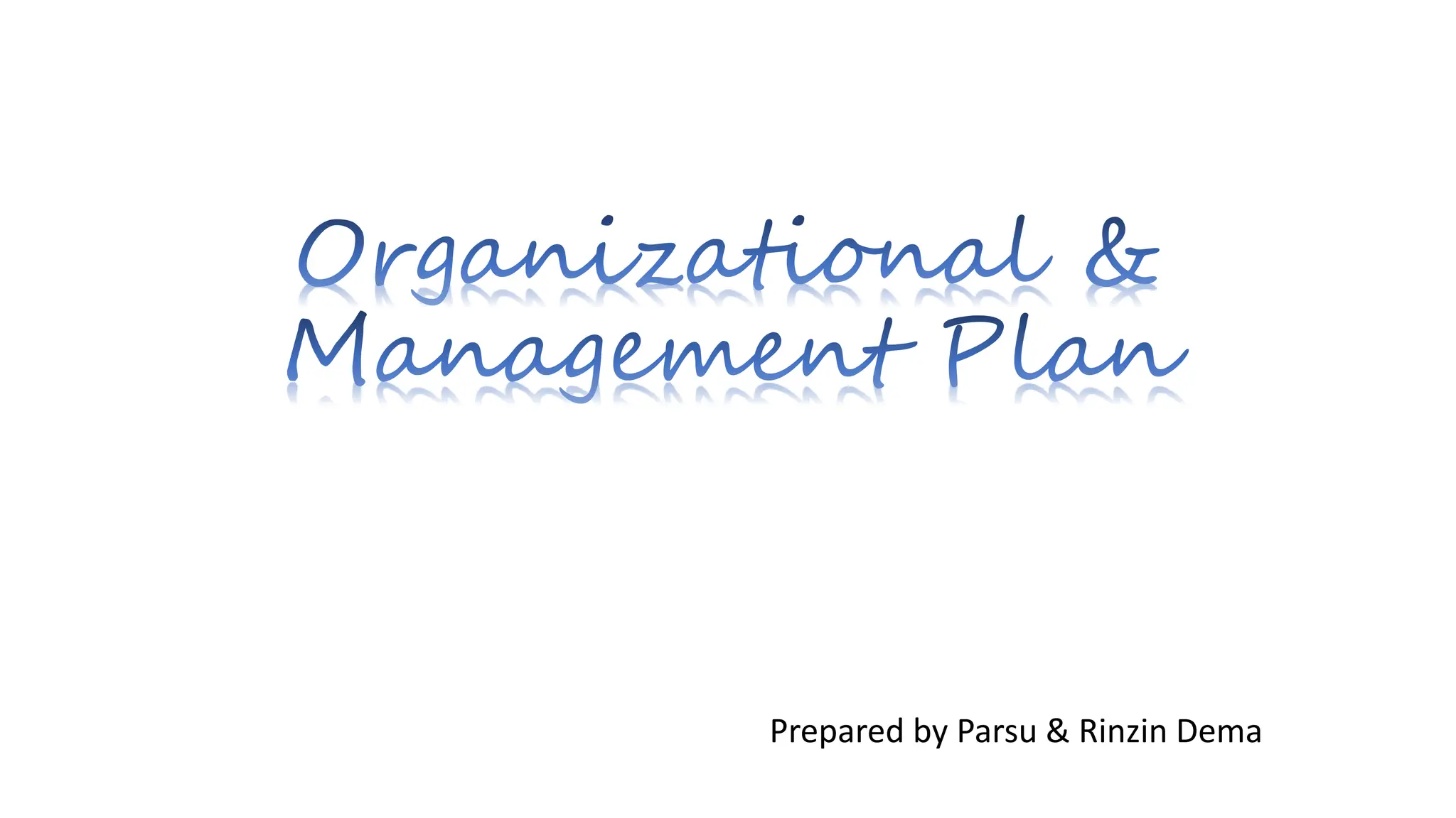 Organizational & Management Plan.pptx