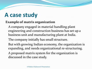 Organizational Structure and Human Asset Planning (for Project Based ...