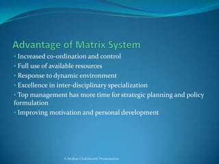 Organizational Structure and Human Asset Planning (for Project Based ...