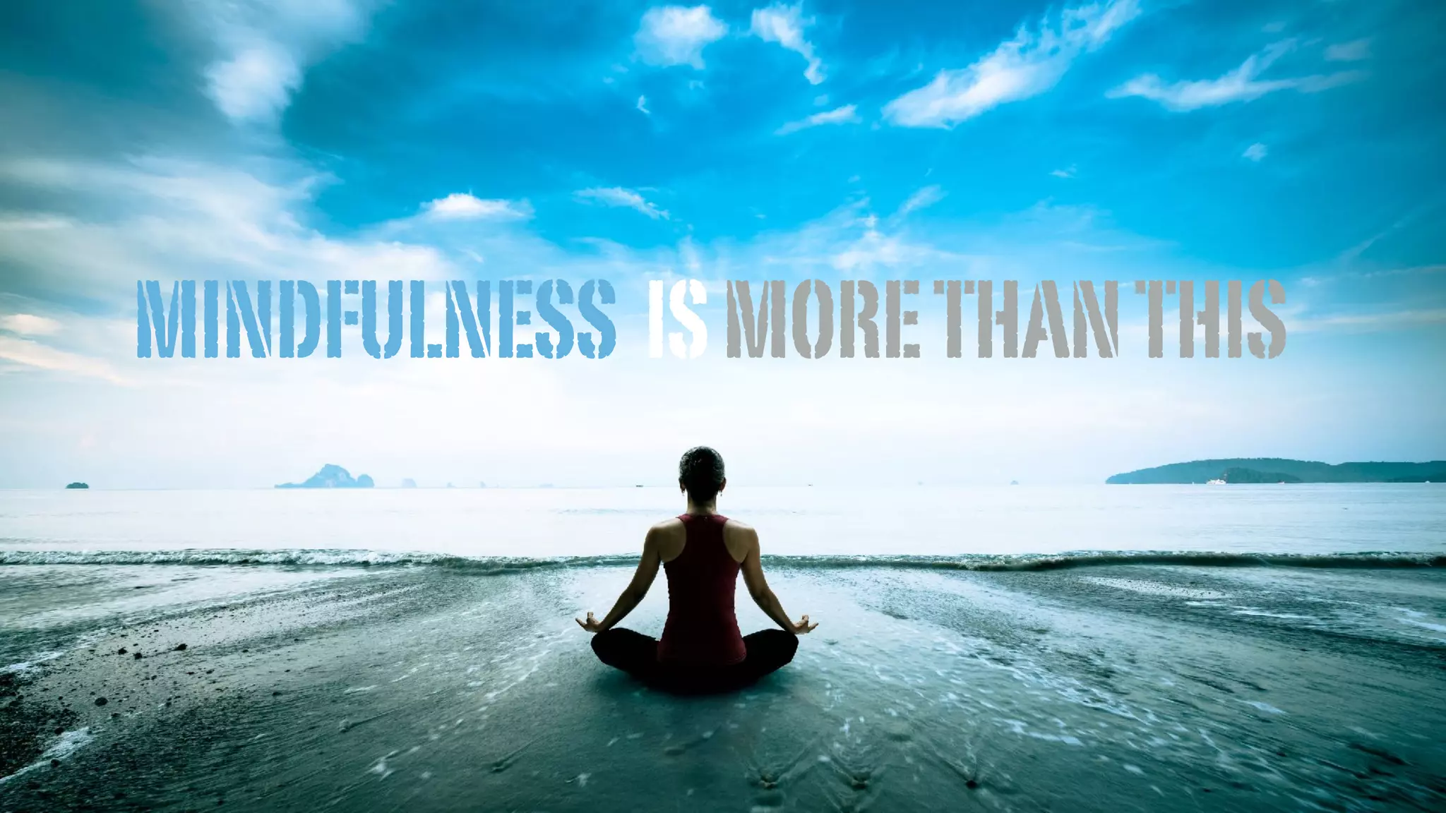 Organizational mindfulness & innovation | PDF