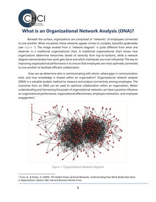 Organizational Network Analysis | PDF