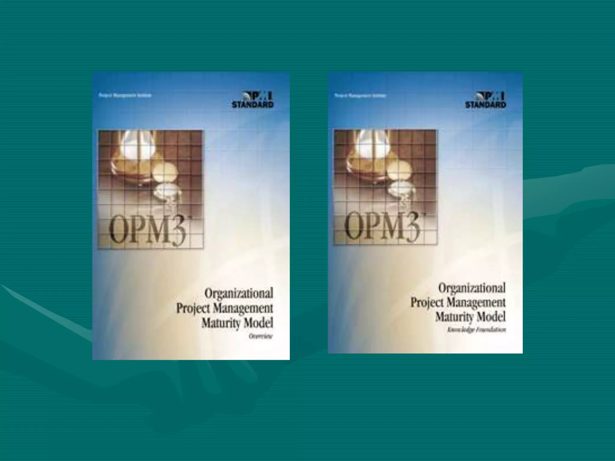 Organizational Project Management Maturity Model (opm3.03) - PowerPoint PPT Presentation.ppt