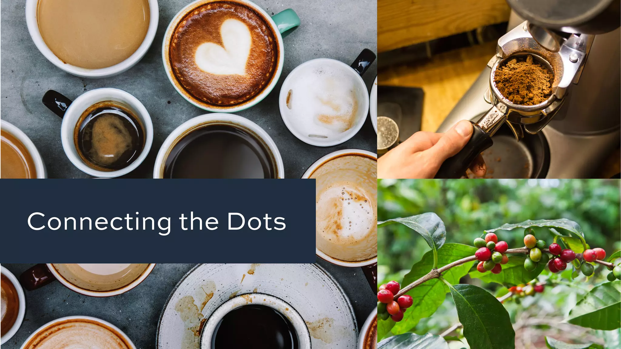 8 PRINCIPLES OF ORGANIZATIONAL RELEVANCE | PDF