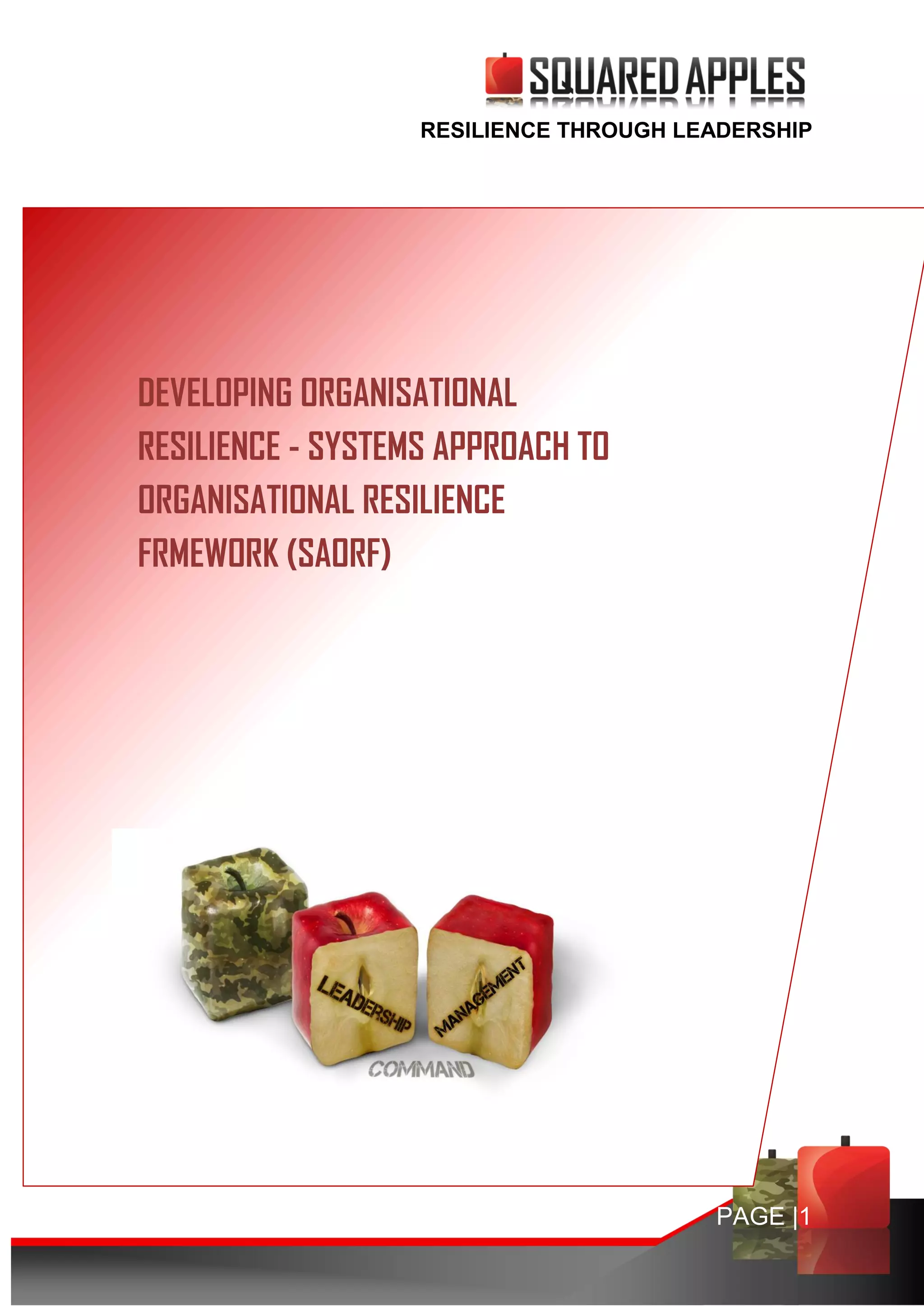 Organizational Resilience Model | PDF