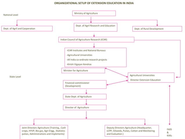 Organizational set up | PPTX | Agriculture | Industries
