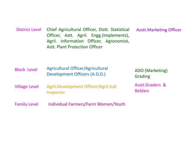 Organizational set up | PPTX | Agriculture | Industries