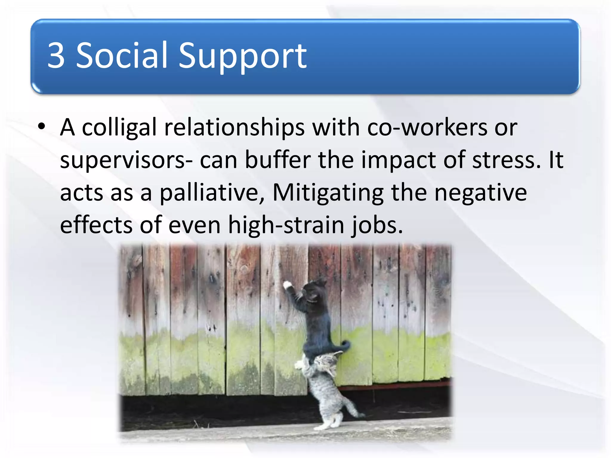 Organizational stress slides pptx | PPTX