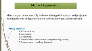 Organizational Structure: Departmentation | PPTX