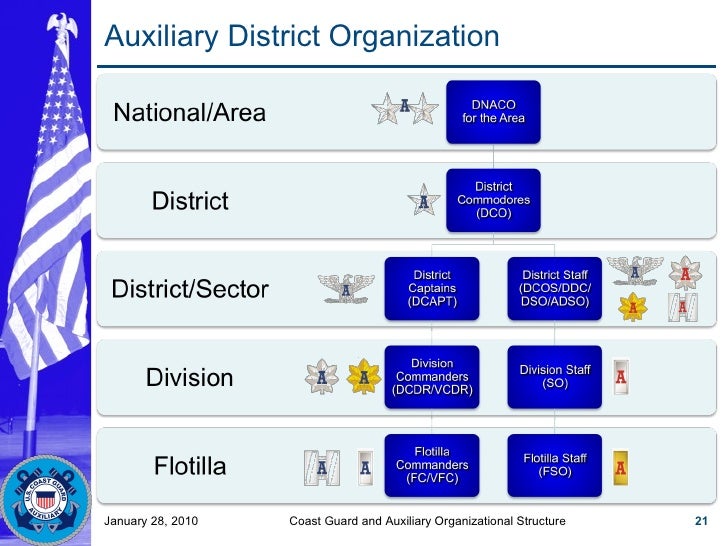 Organizational Structure