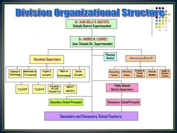 What Is The Ideal Organizational Structure Chart For New