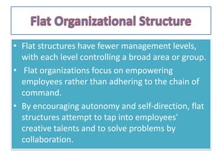 Organizational structure | PPTX