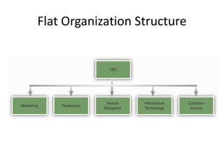 Organizational structure | PPTX