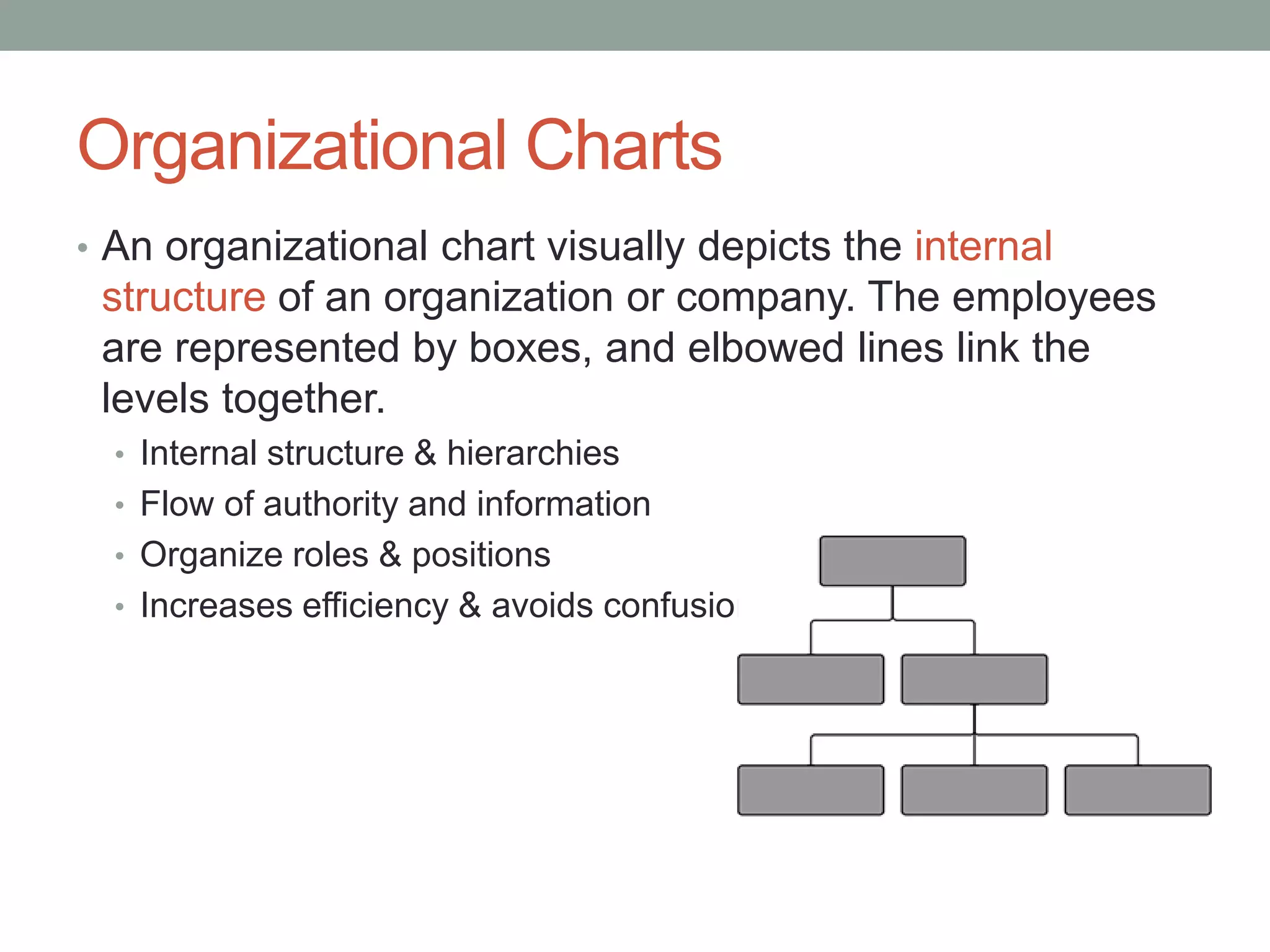 Organizational Structure | PDF