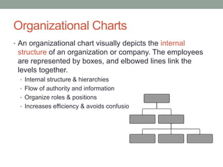 Organizational Structure | PDF