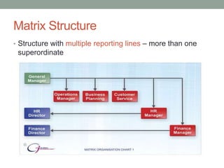 Organizational Structure | PPT