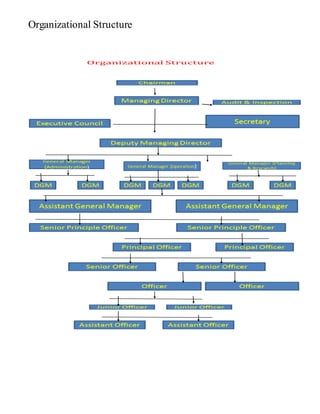 Organizational structure | PDF