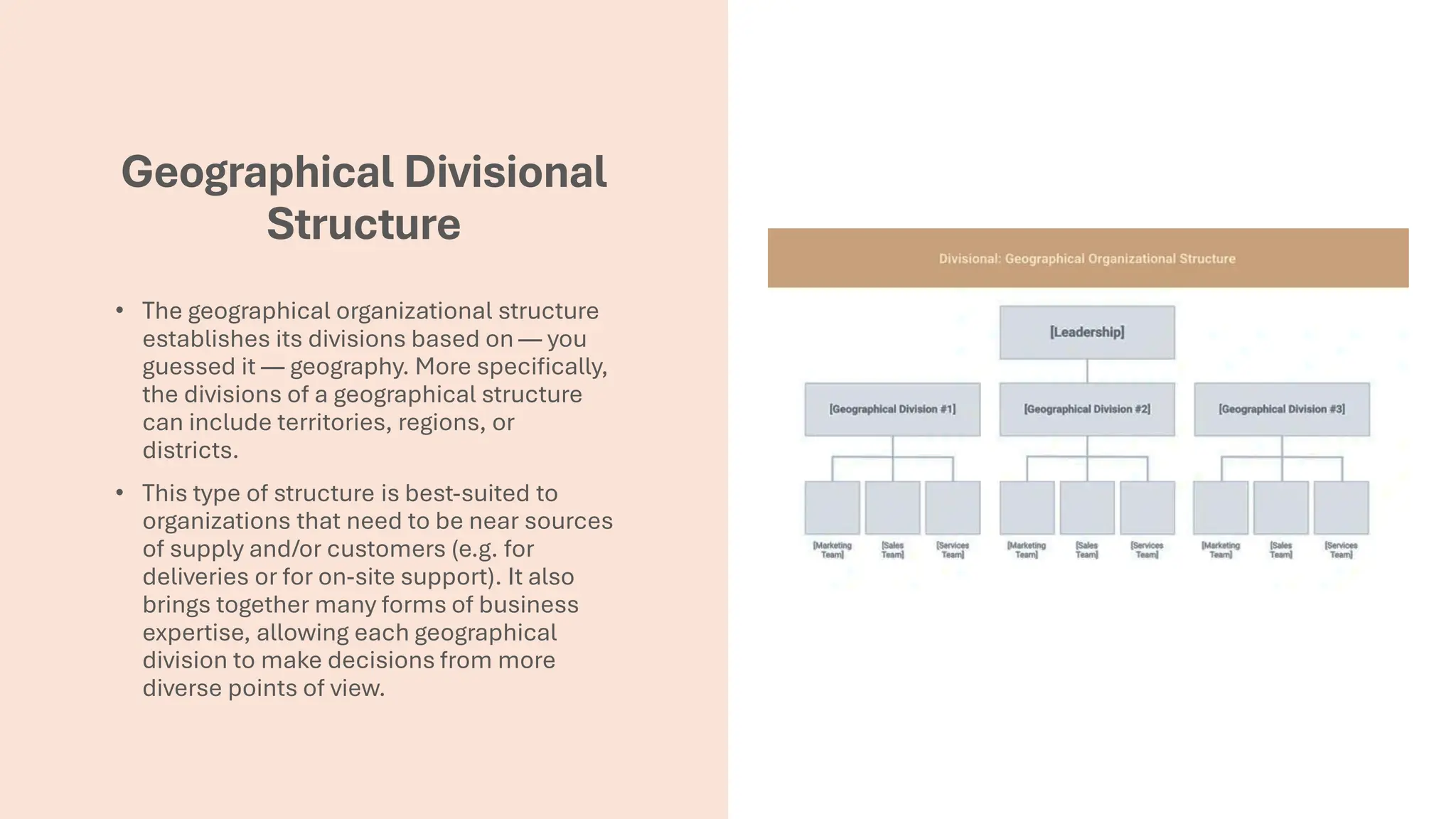 Organizational Structure Running A Successful Business | PDF