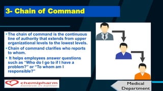 Organizational structure by marco makram. | PPT