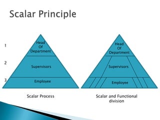 Fundamentals of Organizational Designs and Studies | PPTX