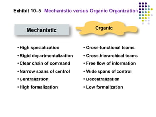 Organizational structure and design | PPT