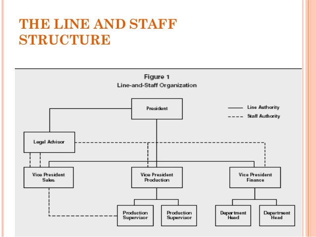 Organizational structure and design and types